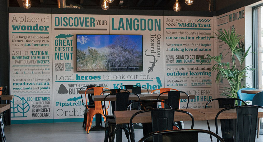 Exploring the Natural Beauty of Langdon Hills and Its Visitor Centre