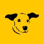 Adopt a Rescue Dog in Basildon, Essex | Dogs Trust Rehoming Program