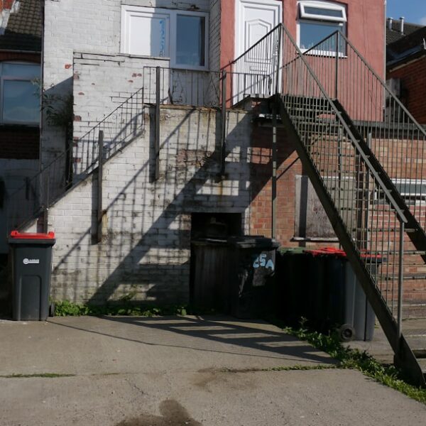 Adopt a Rescue Dog in Basildon, Essex | Dogs Trust Rehoming Program